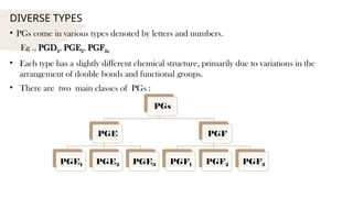 PROSTAGLANDIN.pptx eicosanoids prostaglandins | PPTX