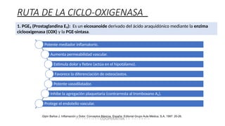 PROSTAGLANDINAS en biologia del movimiento | PPTX