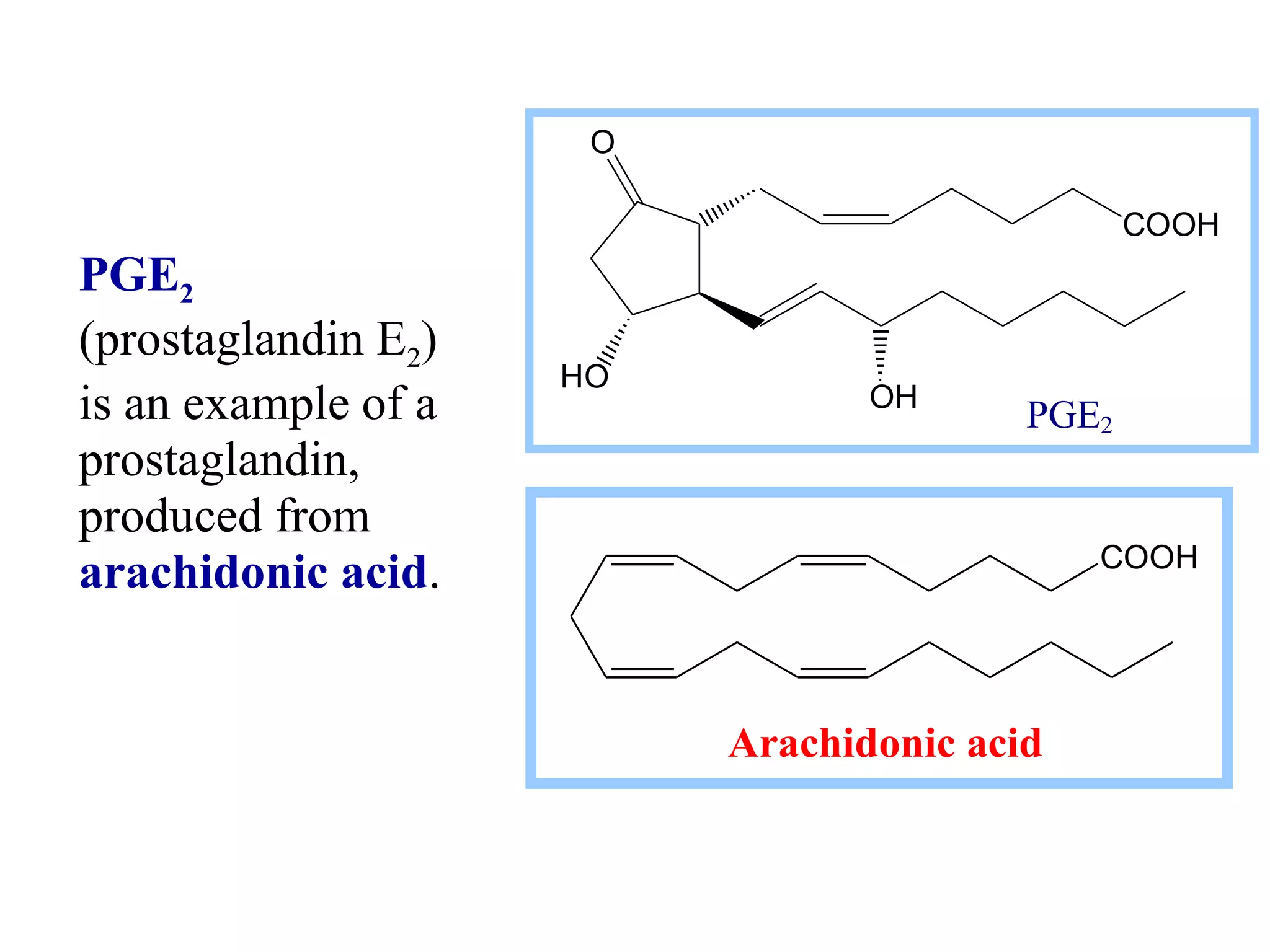 Prostaglandins pharmacology | PPT