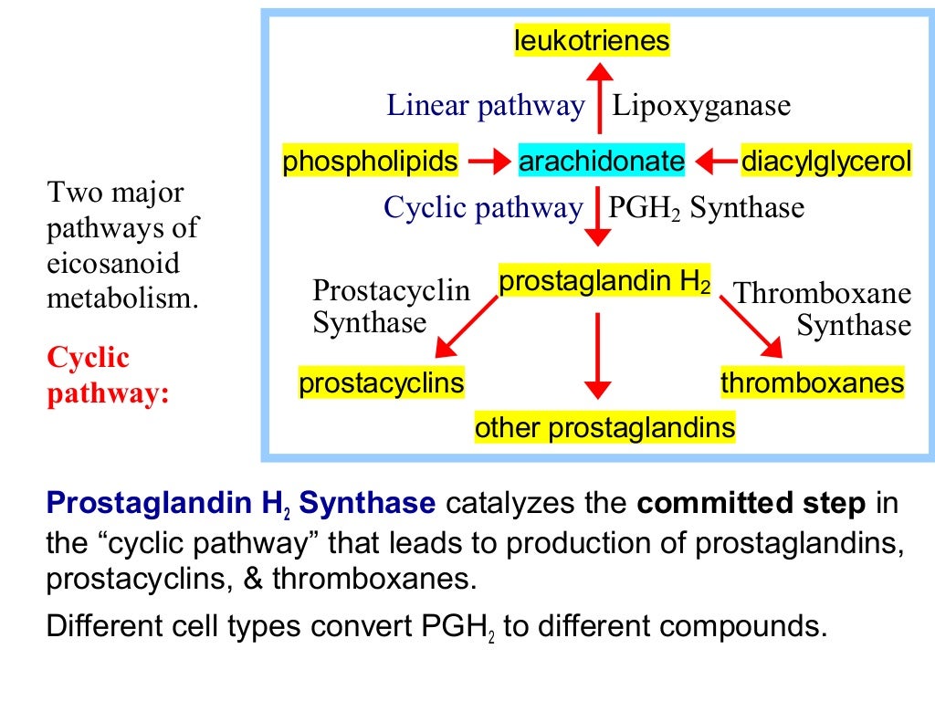 Prostaglandins pharmacology