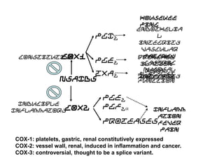 Prostaglandins | PPTX