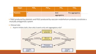 Prostaglandins | PPTX