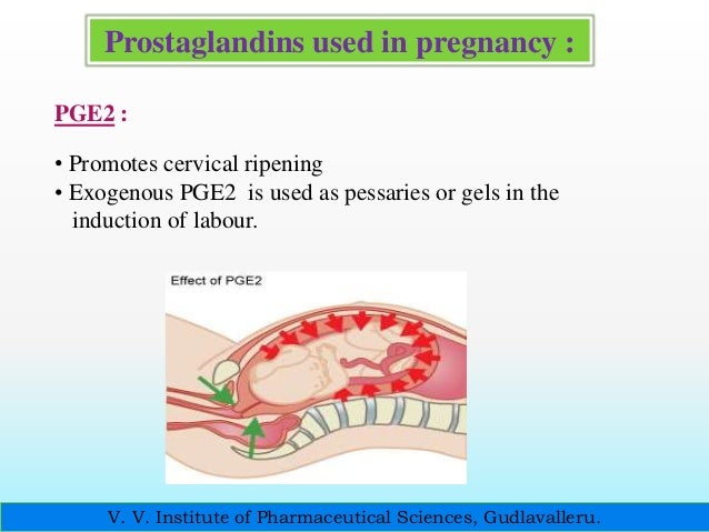 Prostaglandins