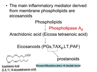 Prostaglandins | PPTX