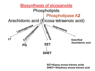 Prostaglandins | PPTX