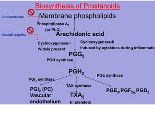 Prostaglandins | PPTX