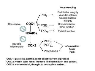 Prostaglandins | PPTX