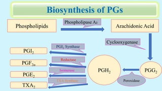Prostaglandins | PPTX