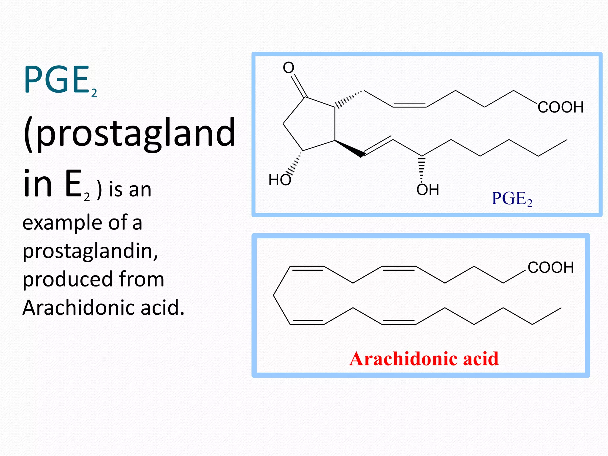 Prostaglandins | PPTX