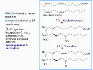 Prostaglandins | PPTX