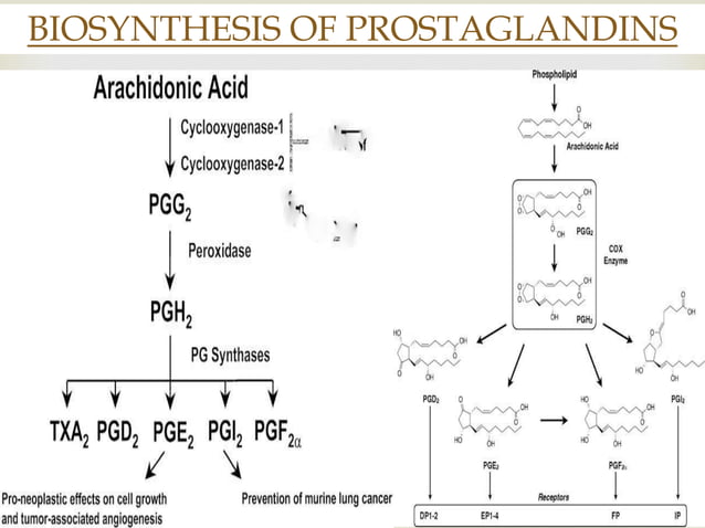 PROSTAGLANDINS.pptx