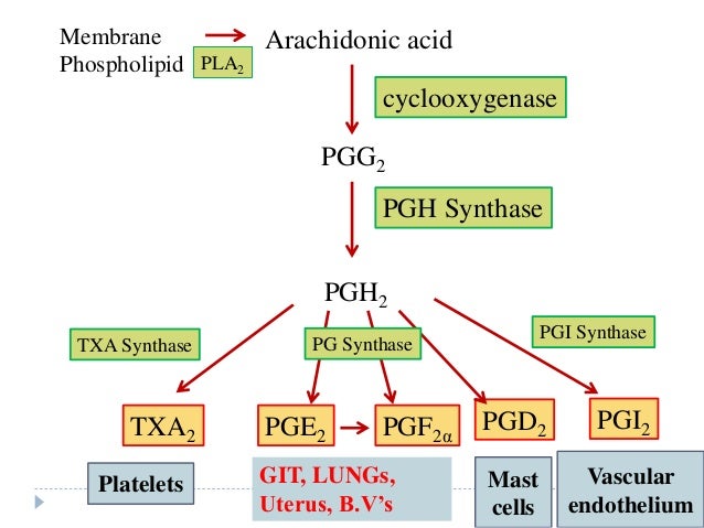 Prostaglandins and leucotrienes mani