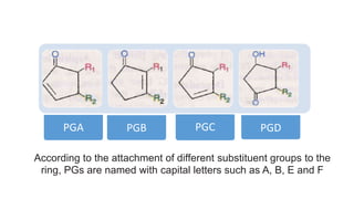 Prostaglandins by Dr. Ashok kumar j | PPT