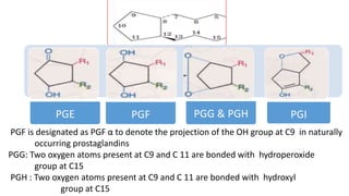 Prostaglandins by Dr. Ashok kumar j | PPT