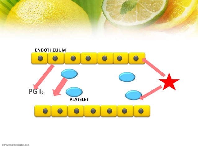 Prostaglandins & leukotrienes | PPTX