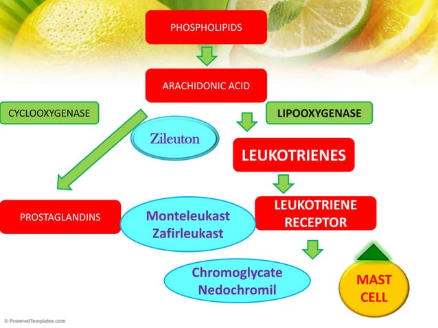 Prostaglandins & leukotrienes | PPTX