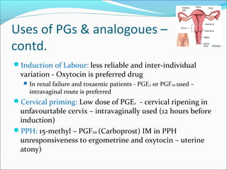 EICOSANOIDS | PPT