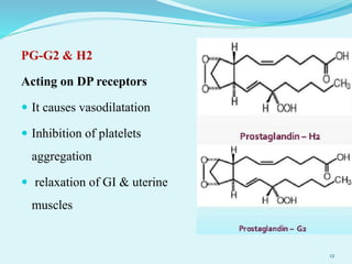 Prostaglandins seminar.pptx