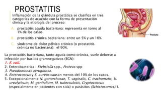 Patologias de la Prostata | PPTX