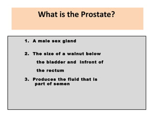 Prostat cancer shamsadin | PPT