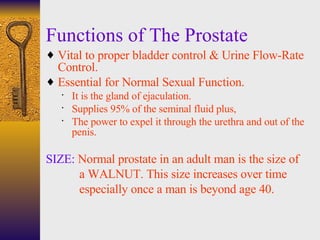 Prostate | PPT