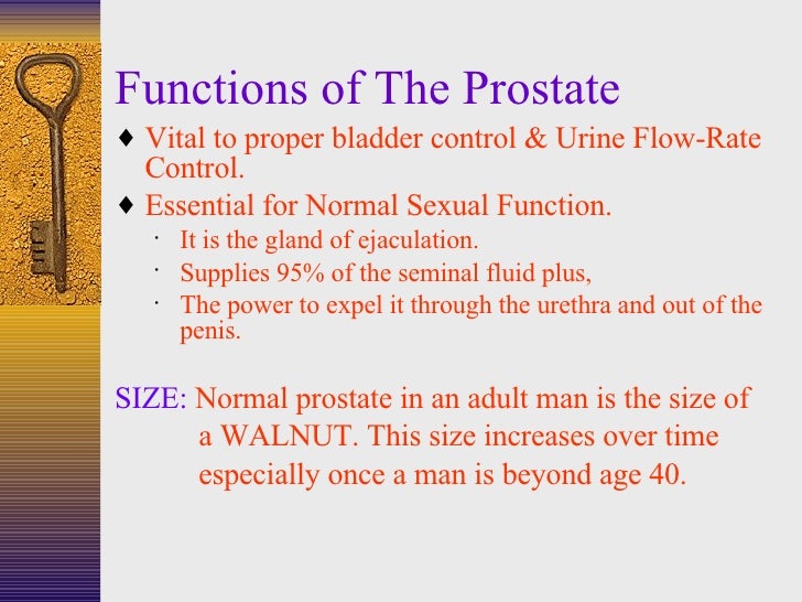 Prostate