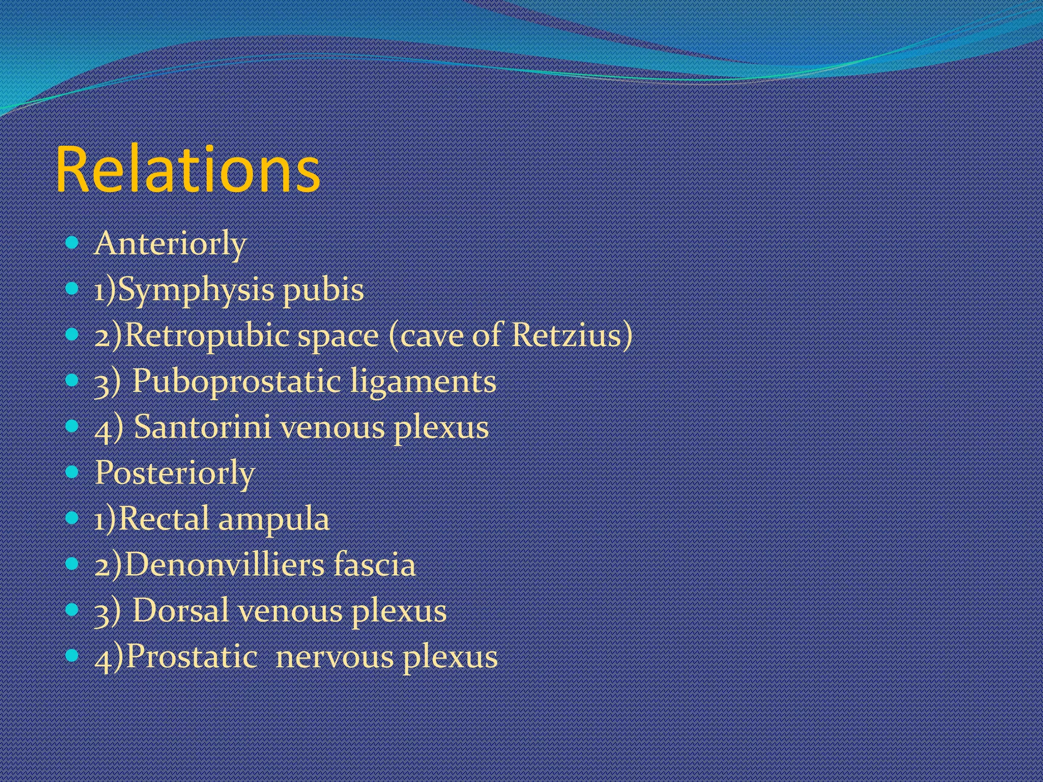 Surgical Anatomy of Prostate | PPTX