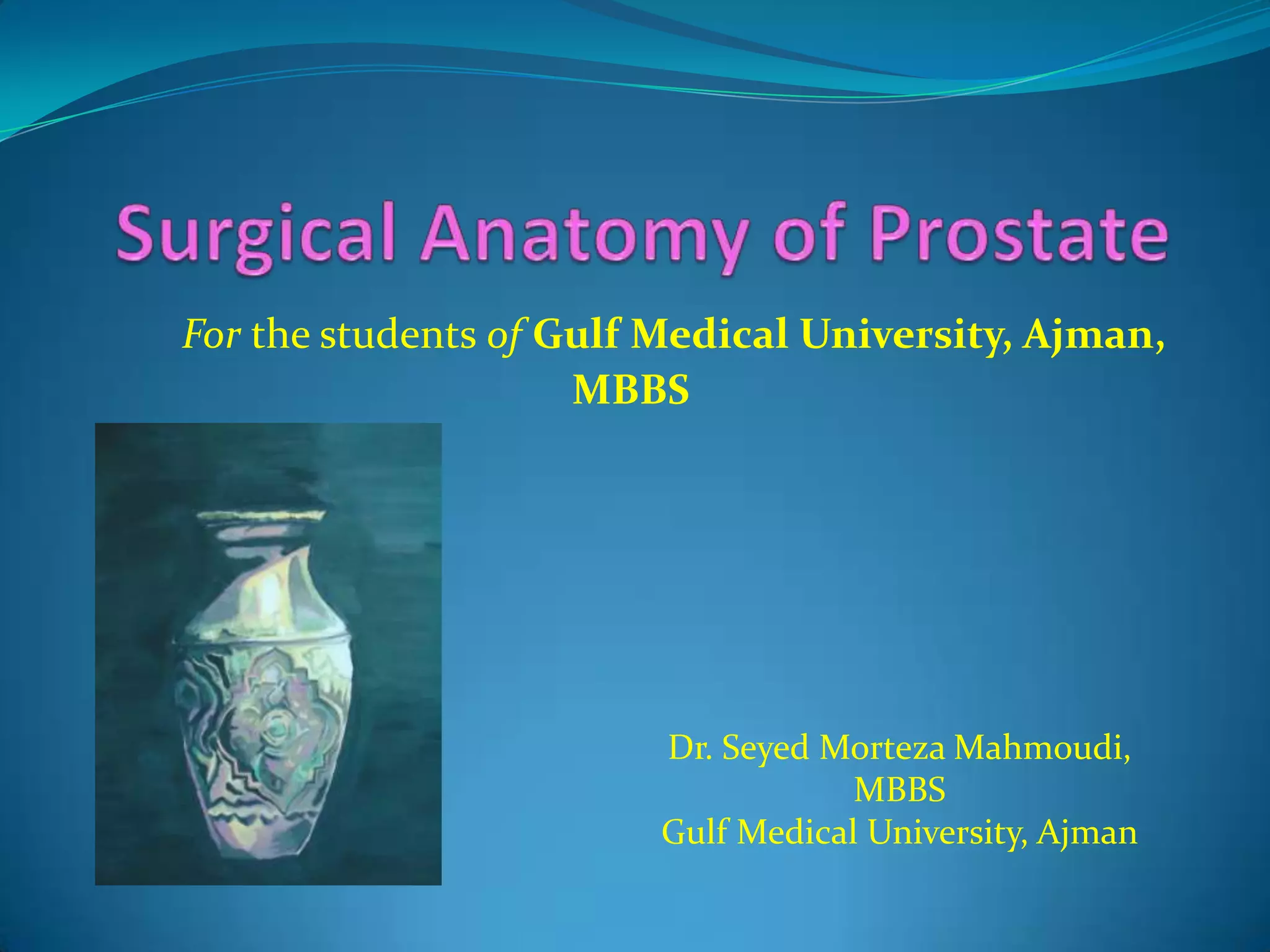 Surgical Anatomy of Prostate | PPTX
