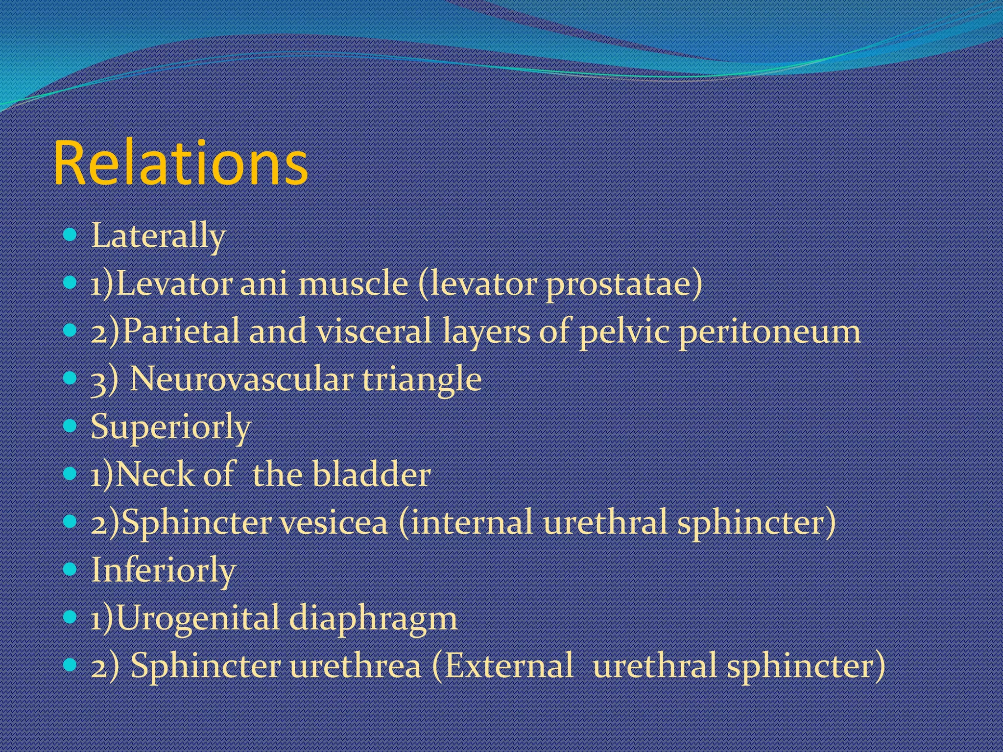 Surgical Anatomy of Prostate | PPTX