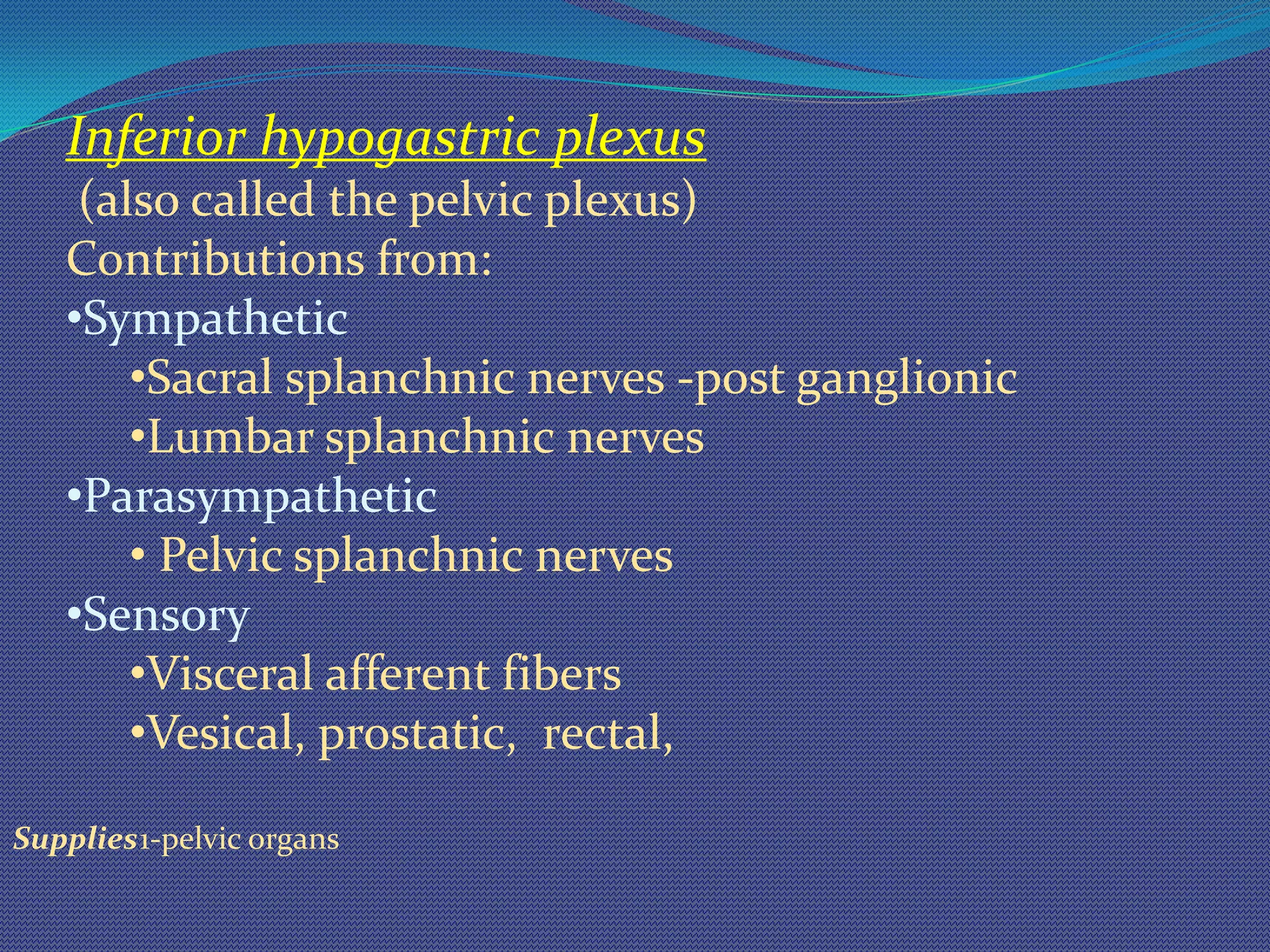 Surgical Anatomy of Prostate | PPTX