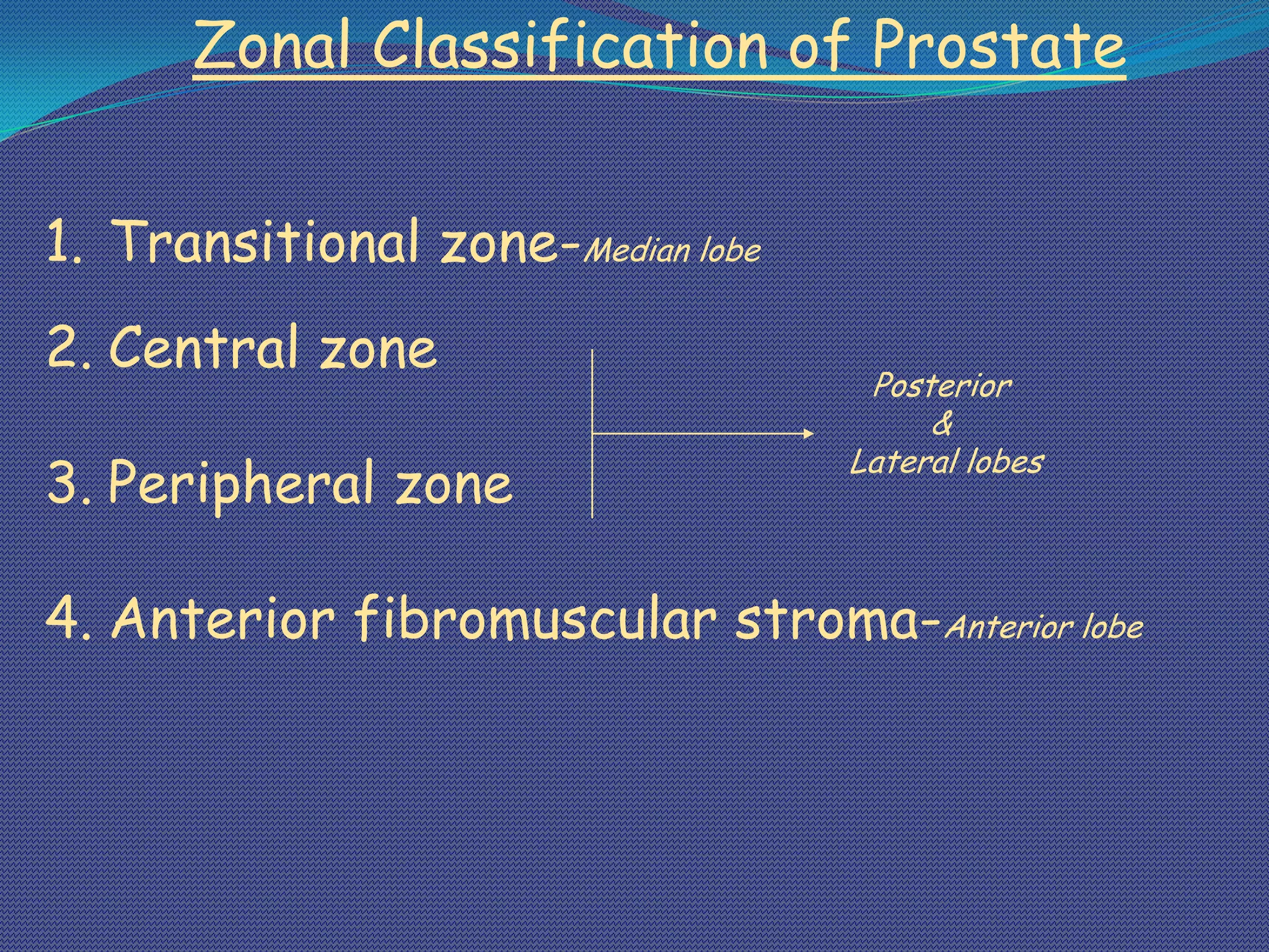 Surgical Anatomy of Prostate | PPTX