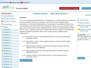 Surgical Anatomy of Prostate | PPTX