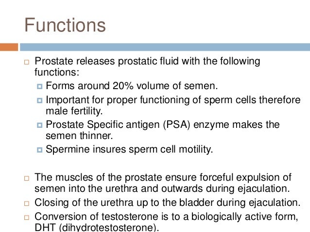 Prostate