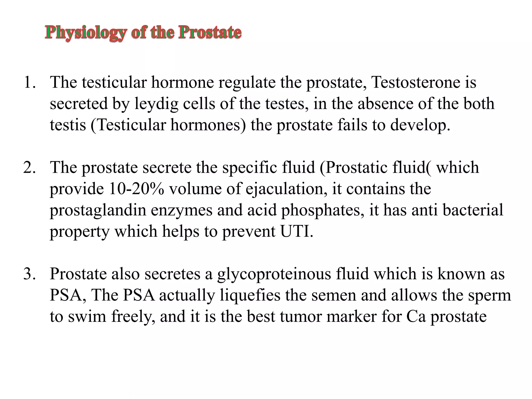 Prostate Anatomy,physiology & Pathology | PPTX