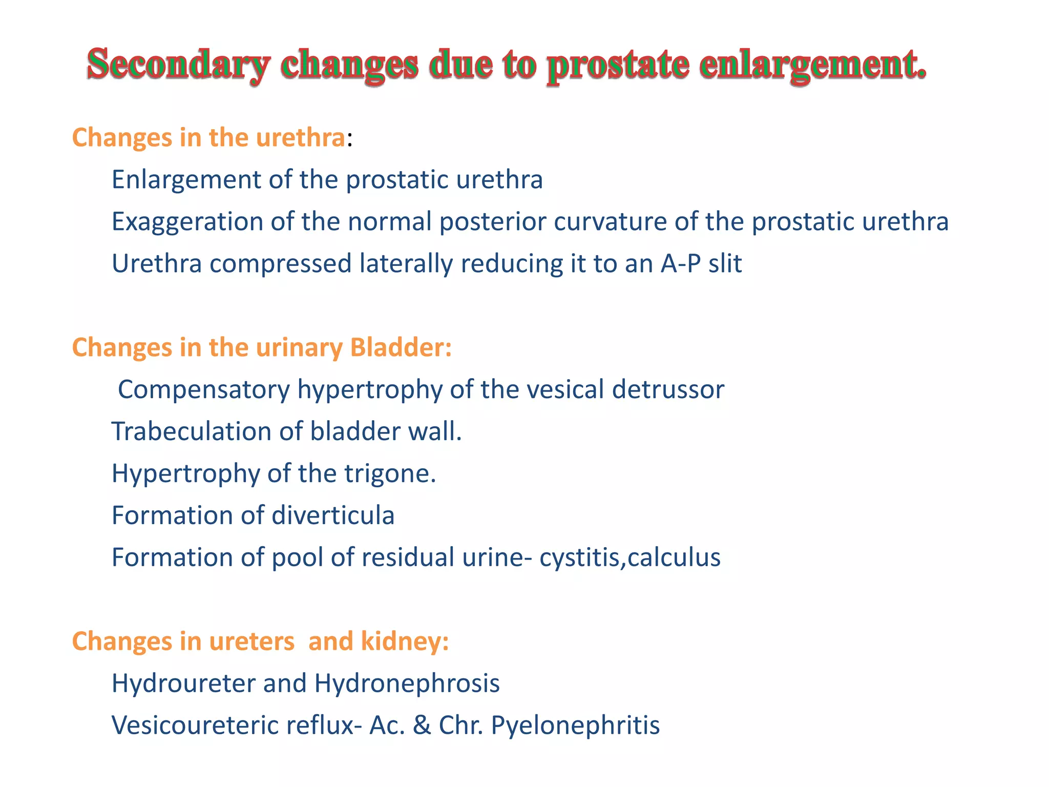 Prostate Anatomy,physiology & Pathology | PPTX