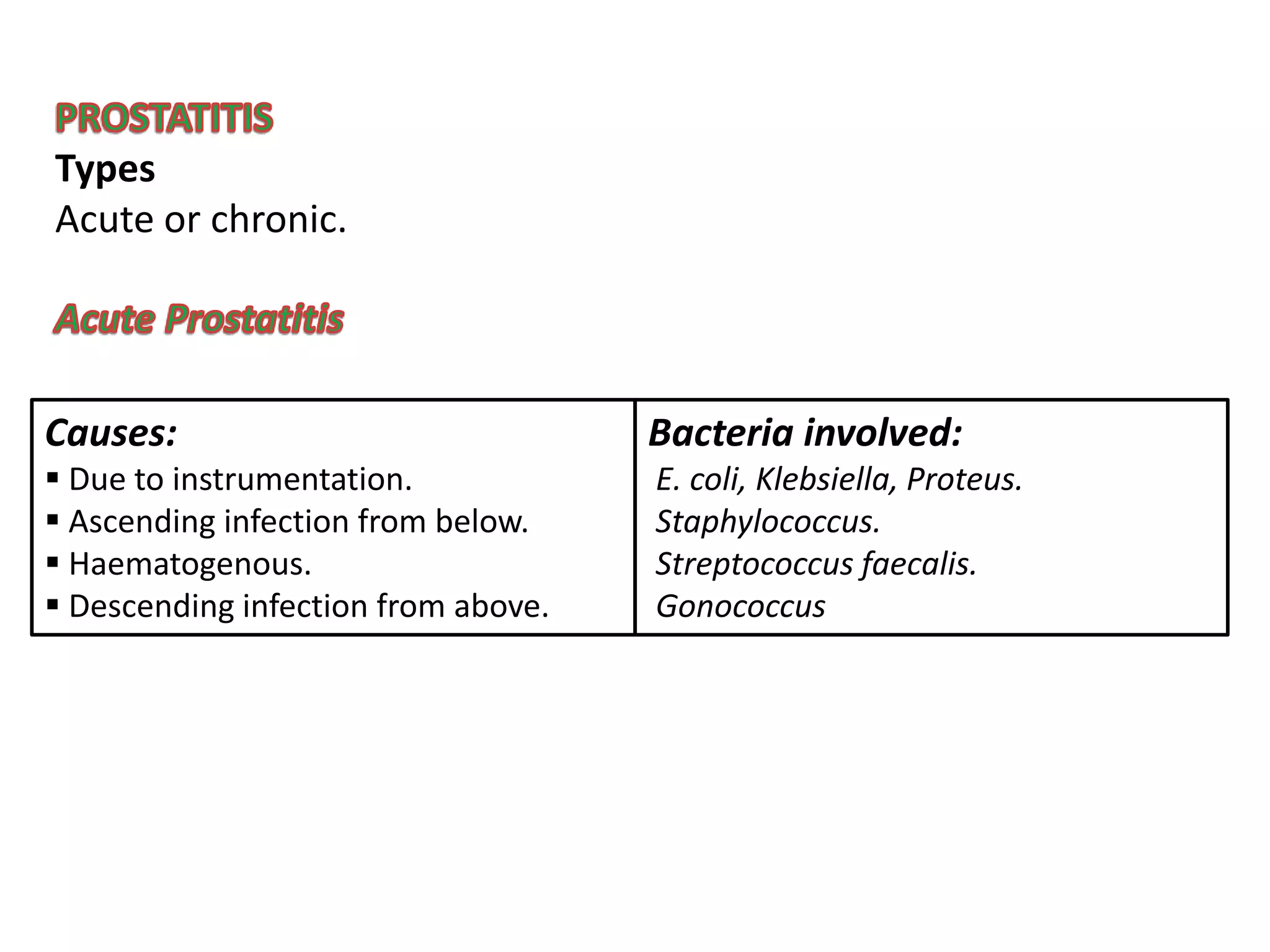 Prostate Anatomy,physiology & Pathology | PPTX