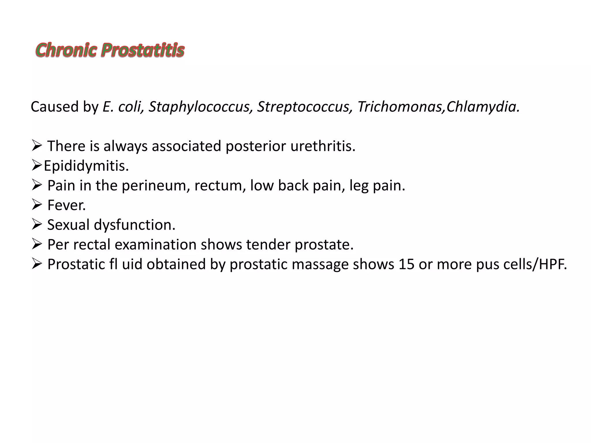 Prostate Anatomy,physiology & Pathology | PPTX