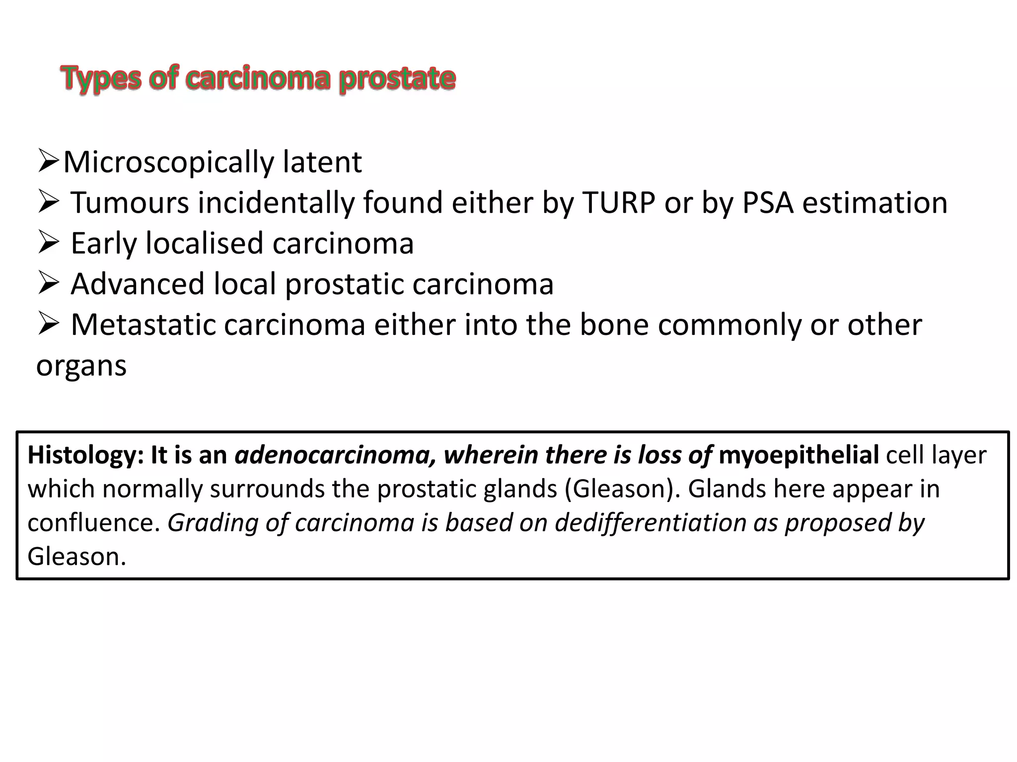 Prostate Anatomy,physiology & Pathology | PPTX