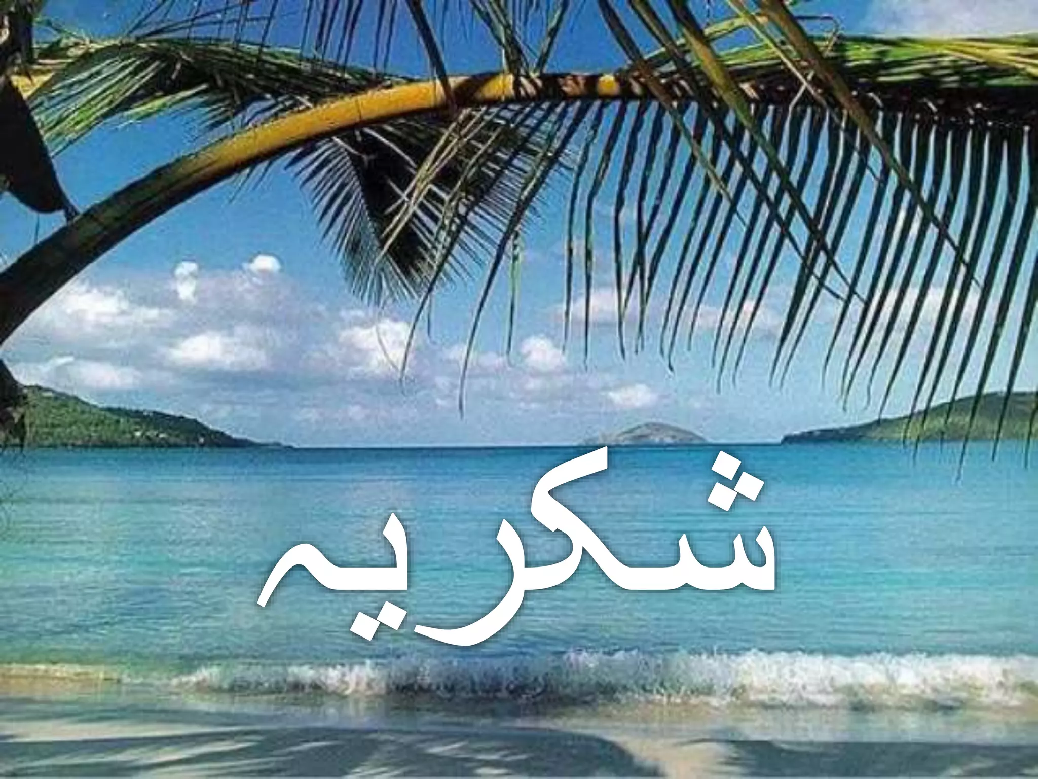 Prostate Anatomy,physiology & Pathology | PPTX