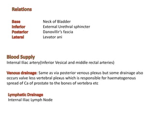 Prostate Anatomy,physiology & Pathology | PPTX