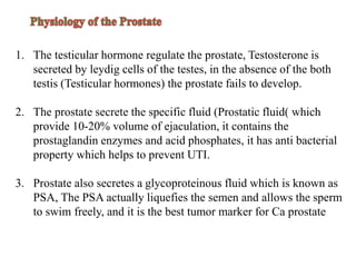 Prostate Anatomy,physiology & Pathology | PPTX