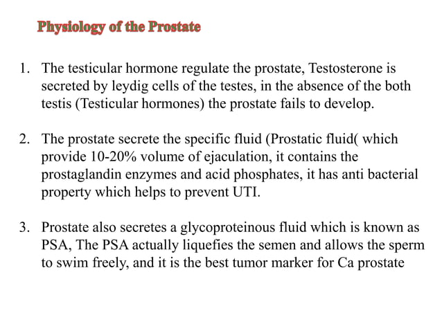 Prostate Anatomy,physiology & Pathology | PPTX | Reproductive Health ...