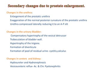 Prostate Anatomy,physiology & Pathology | PPTX