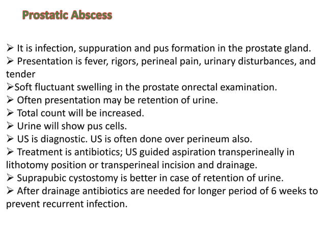 Prostate Anatomy,physiology & Pathology | PPTX | Reproductive Health ...