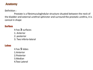 Prostate Anatomy,physiology & Pathology | PPTX