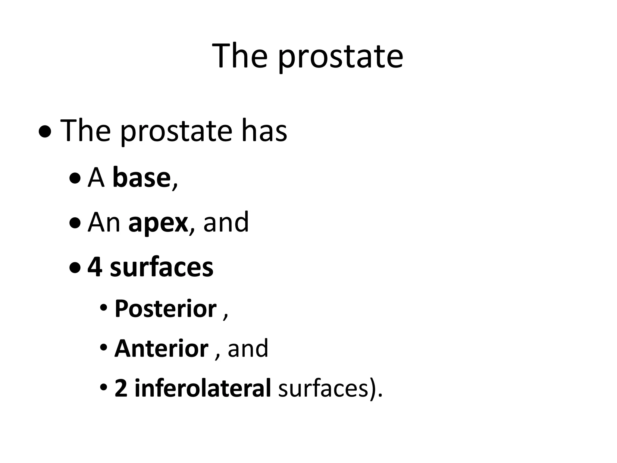 Prostate.pptx