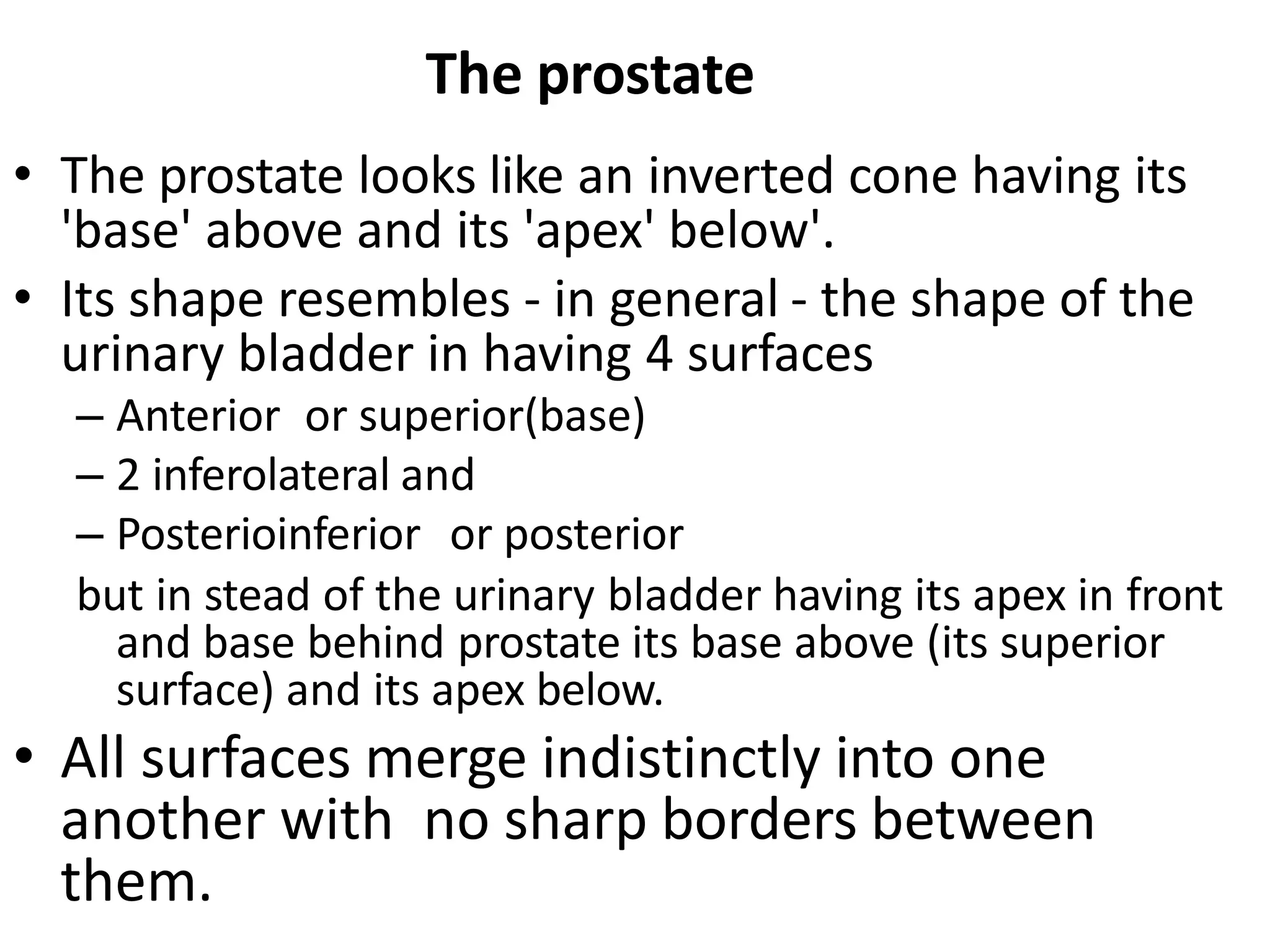 Prostate.pptx