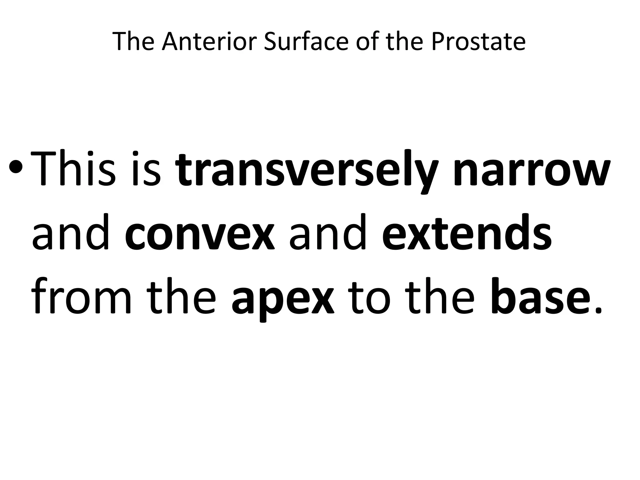Prostate.pptx