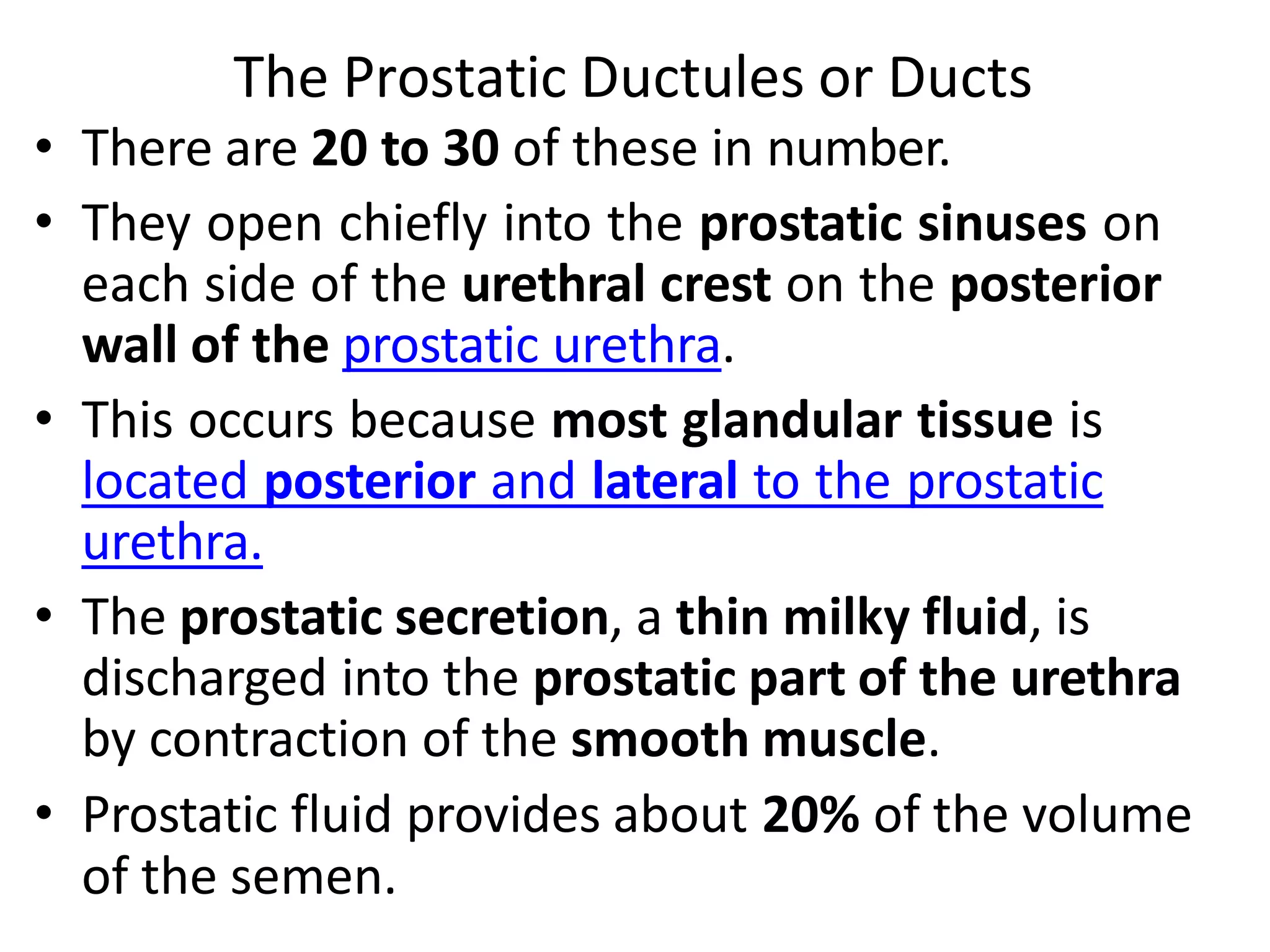 Prostate.pptx