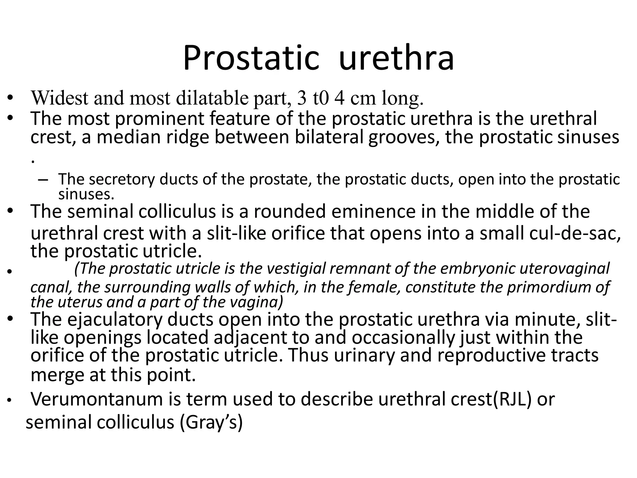 Prostate.pptx
